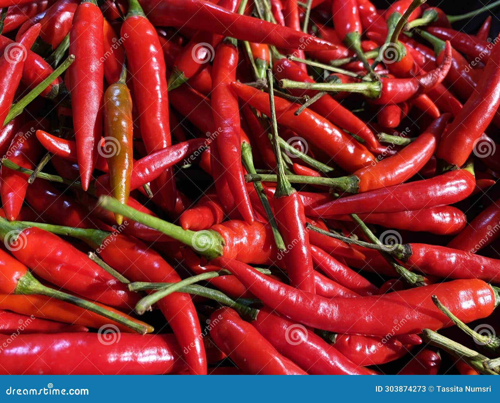 A Bundle of Multiple Fresh, Hot, Large and Bright Red Chili or Pepper ...