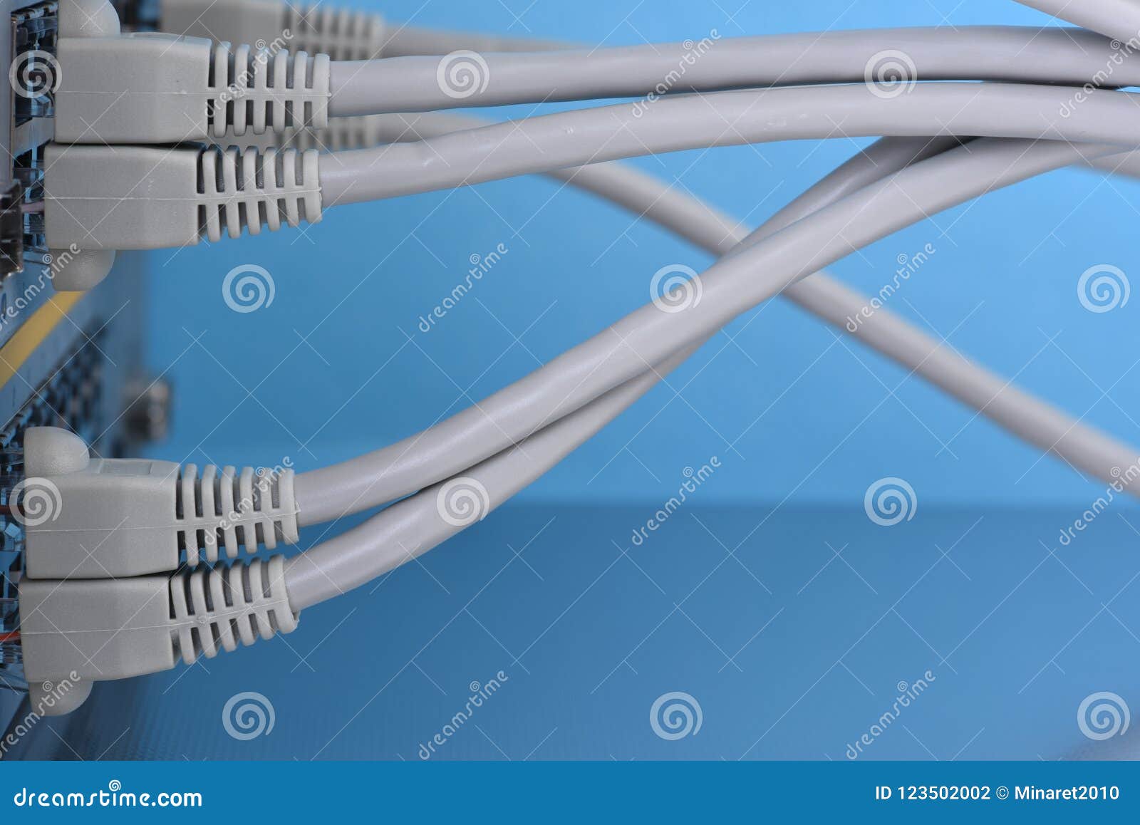 Bundle of Network Cables Connected To Switch Stock Photo - Image of ...