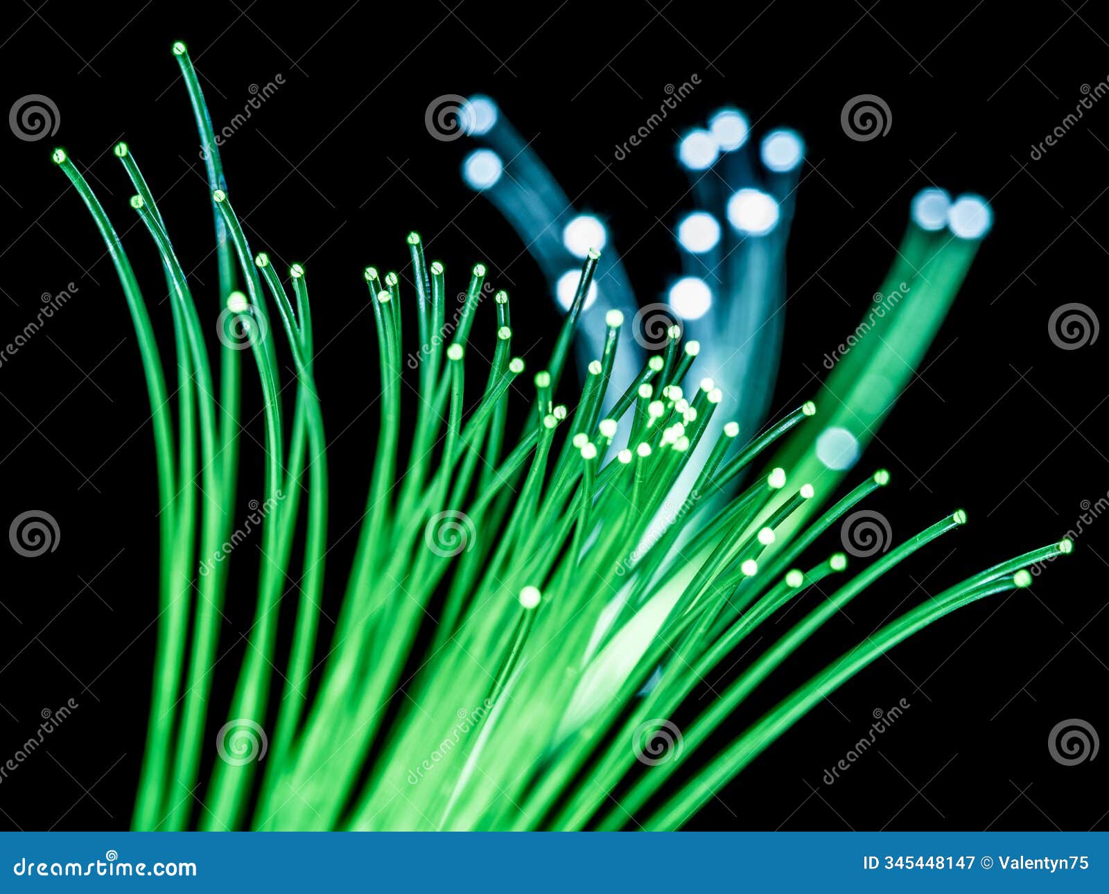 Bundle of Optical Fibers with Green Light. Black Background Stock Image ...