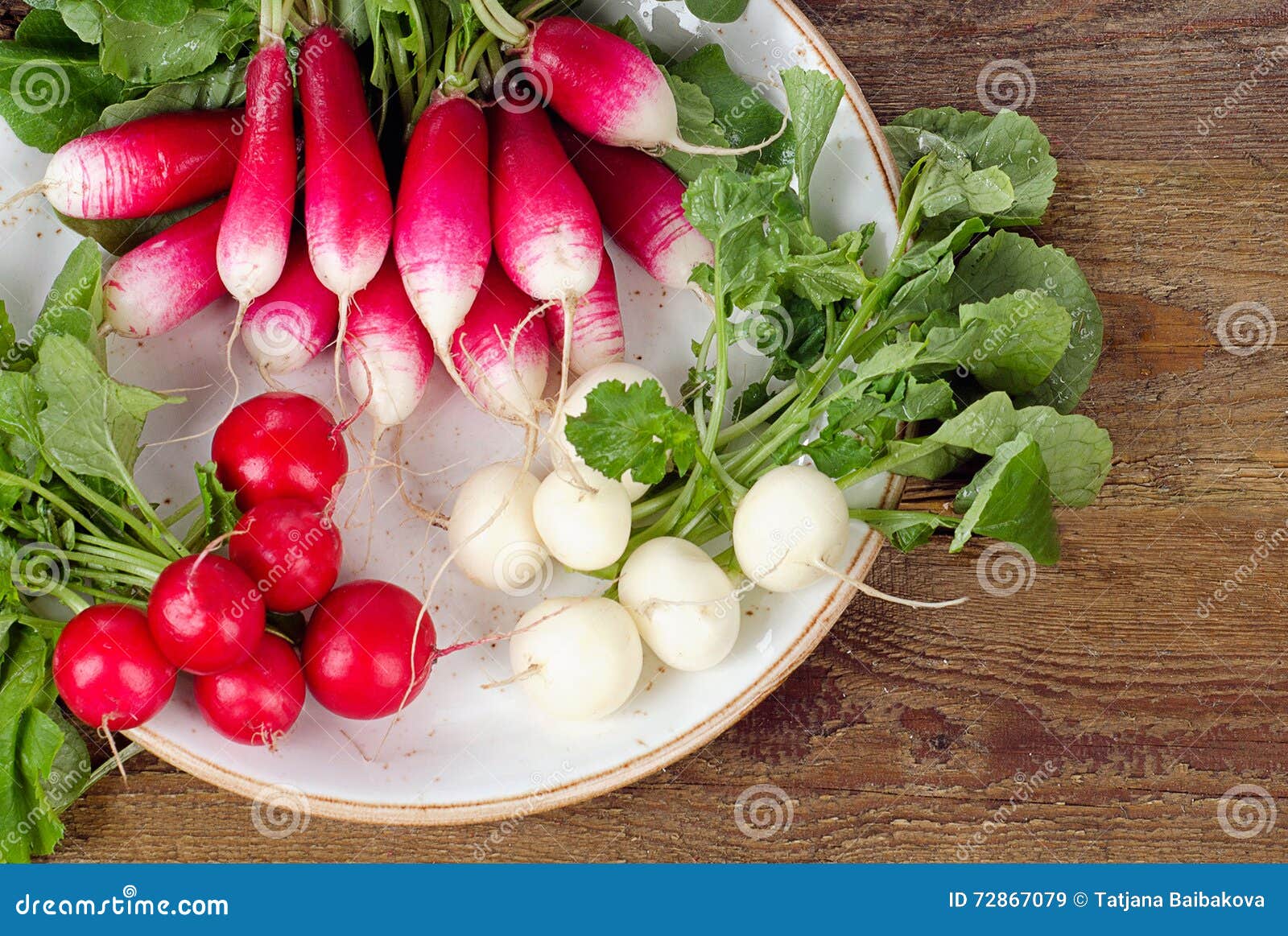Bundle of organic radishes stock image. Image of healthy - 72867079