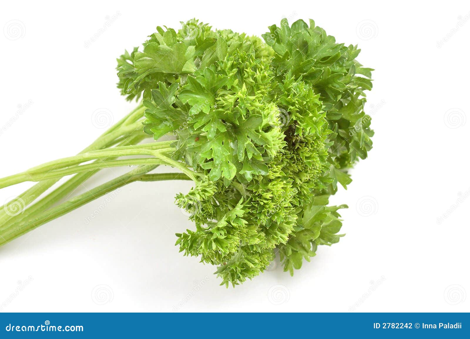 Bundle Of Parsley Picture. Image: 2782242