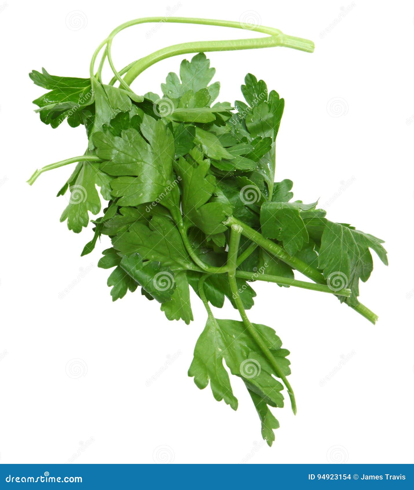 Bundle of Parsley stock photo. Image of bunch, health - 94923154