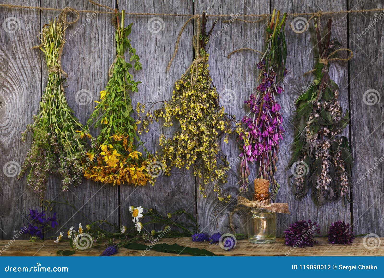Bundle of Plants in the Drying Process Stock Photo - Image of natural ...