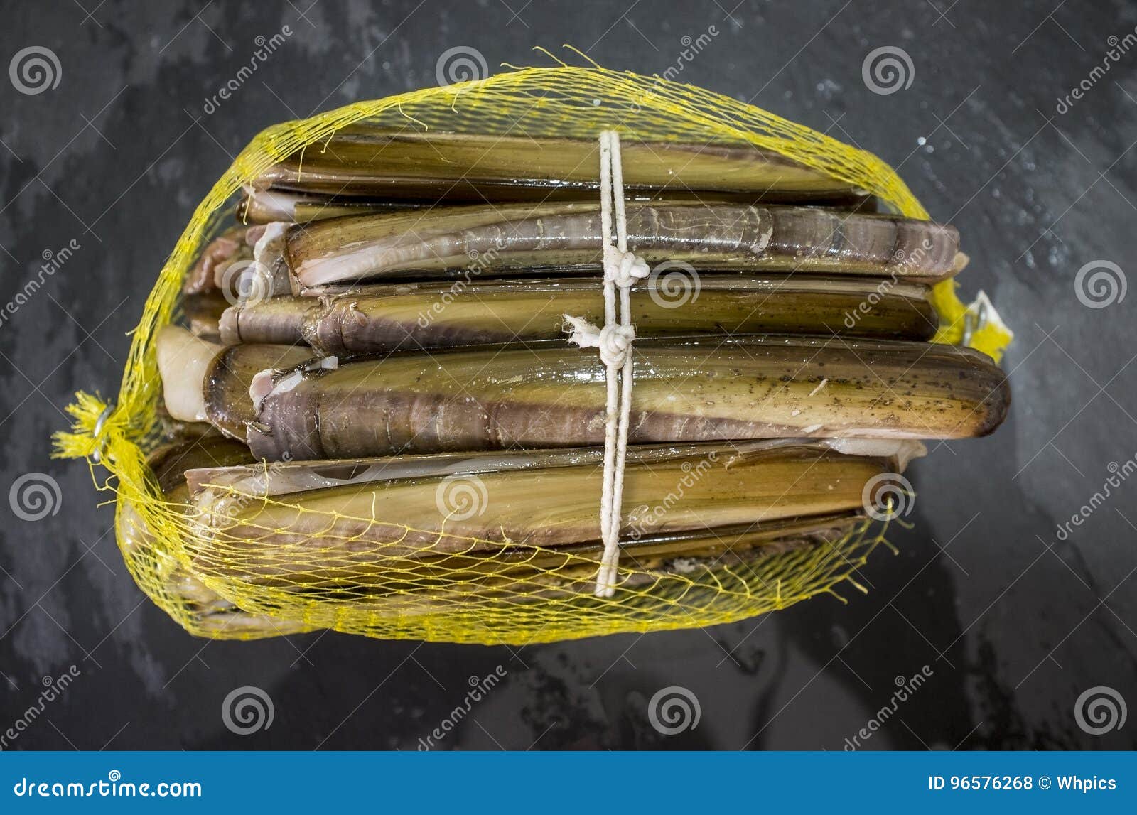 Bundle of Razor Clams in Opened Plastic Net Stock Photo - Image of ...
