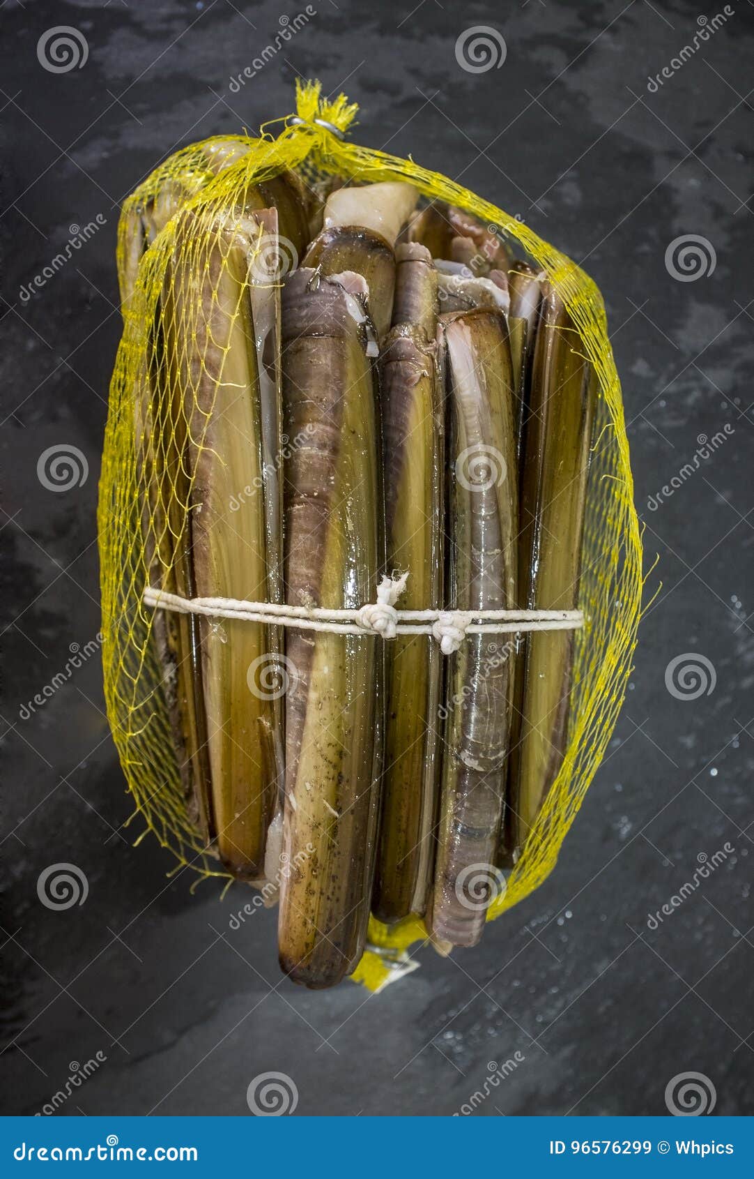 Bundle of Razor Clams in Opened Plastic Net Stock Image - Image of ...