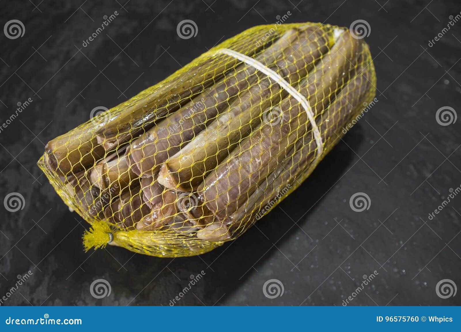 Bundle of Razor Clams in Their Plastic Net Stock Photo - Image of ...
