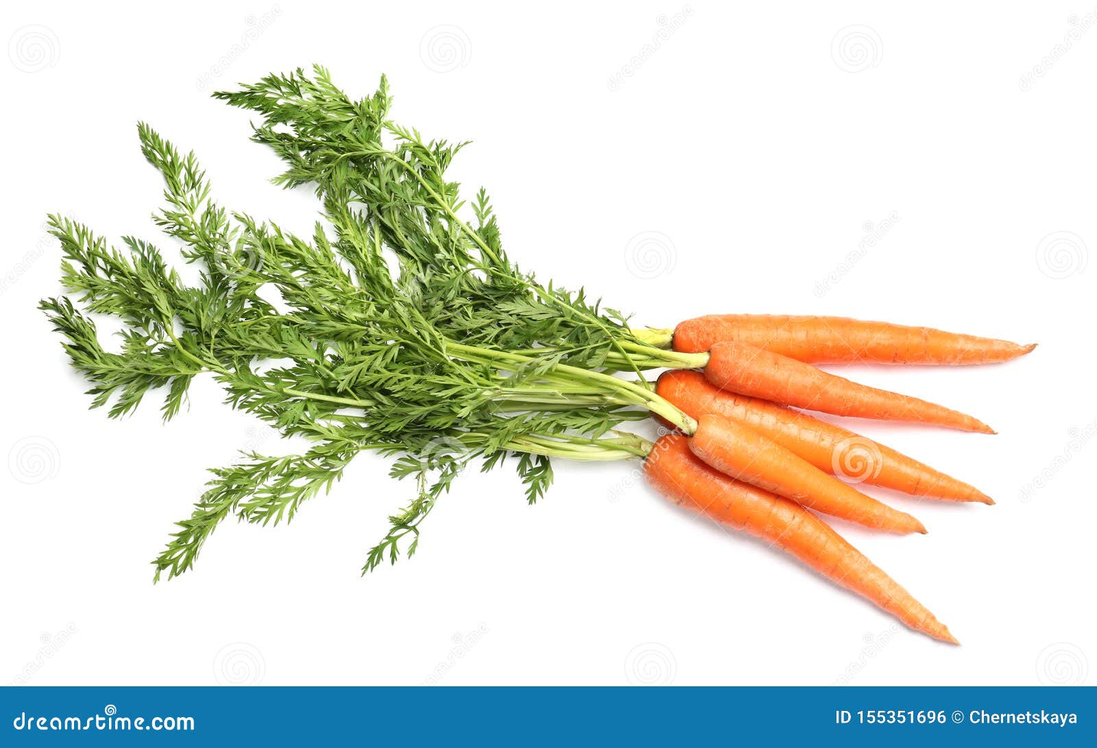 Bundle of Ripe Carrots Isolated on White Stock Photo - Image of plant ...