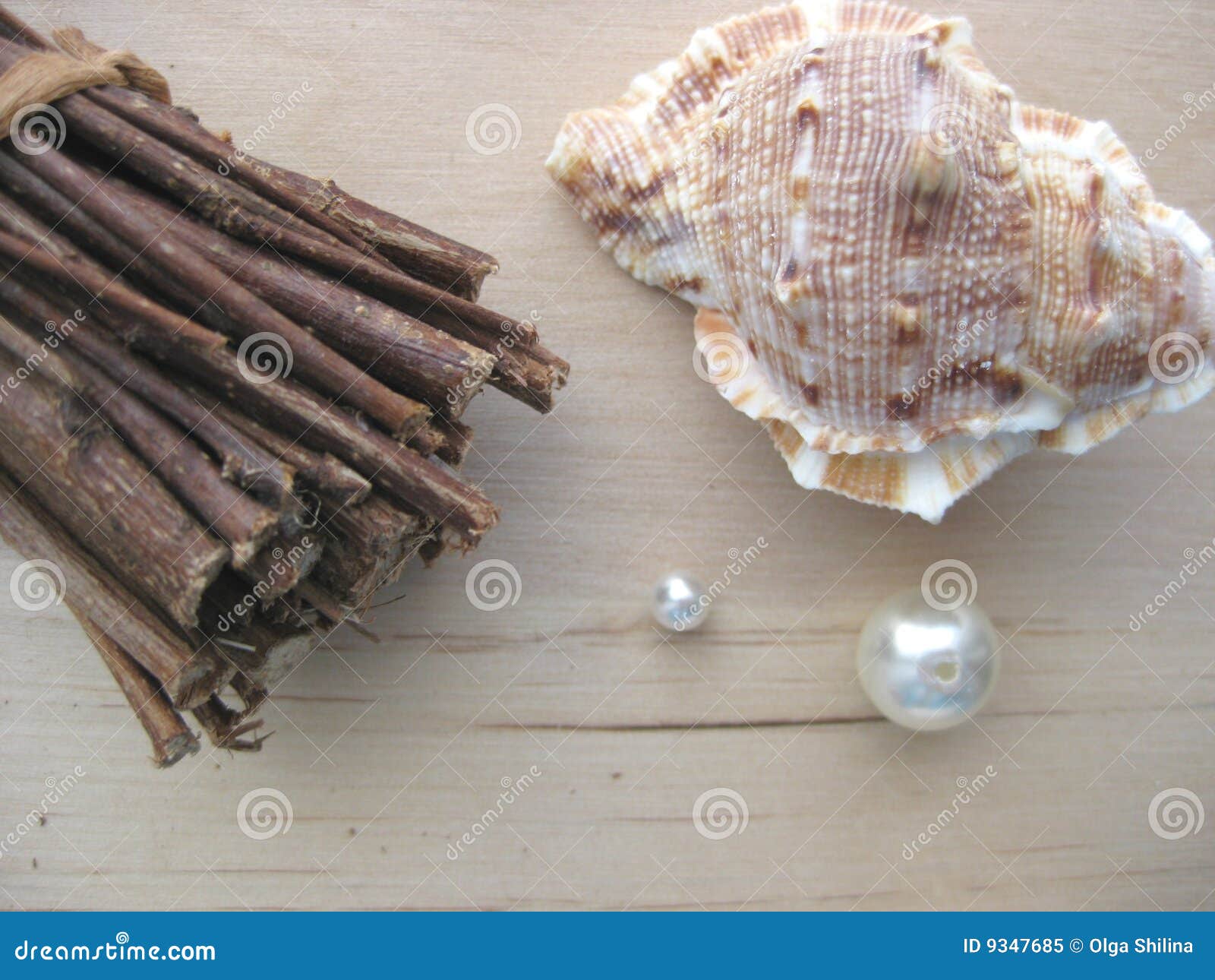 Bundle with seashell stock image. Image of pearl, stick - 9347685