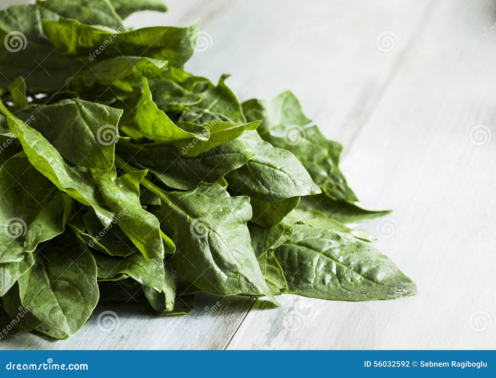 Bundle of spinach stock photo. Image of nutrition, bundle - 56032592