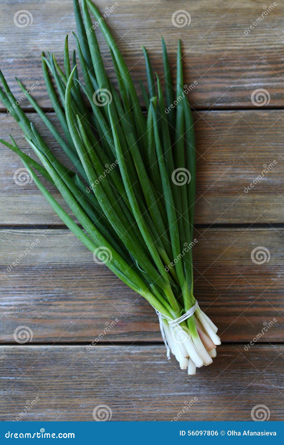 Bundle of spring onions stock photo. Image of kitchen - 56097806
