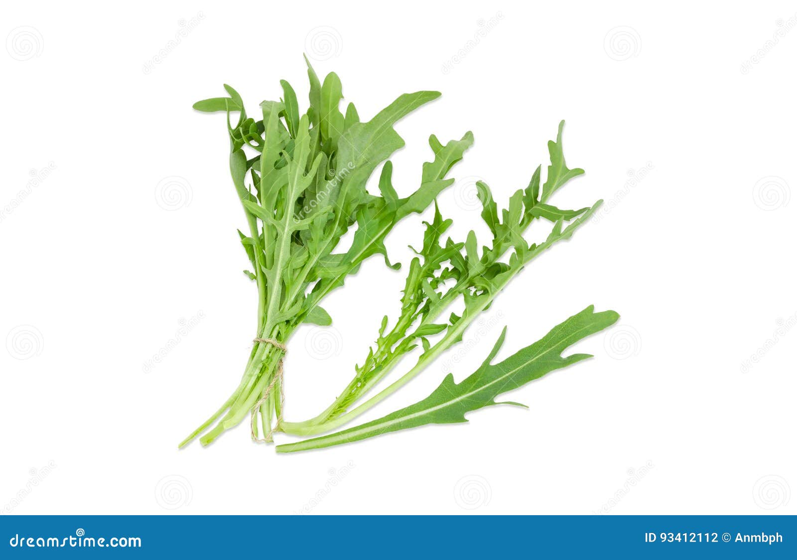 Arugula Bundle On Water Splash On Orange Background Stock Photography ...