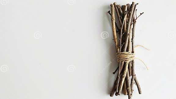 Bundle of Sticks on White Background Stock Illustration - Illustration ...