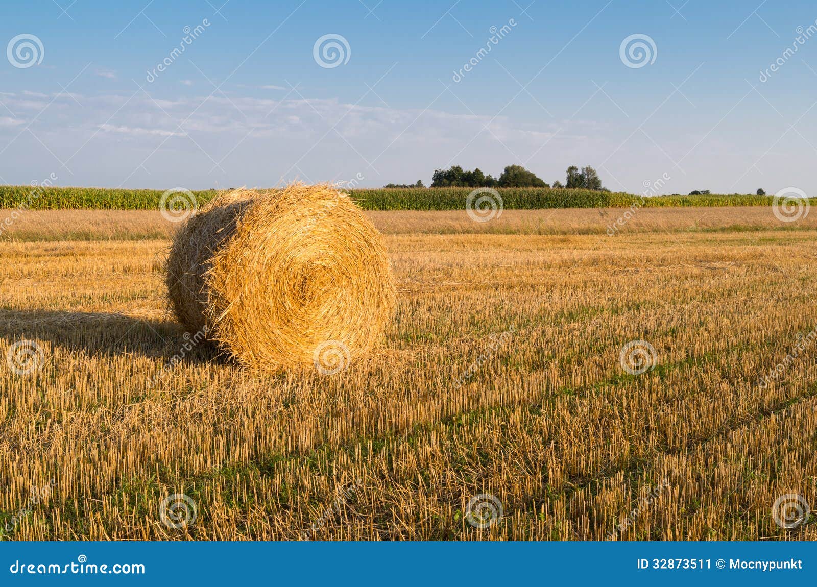 Bundle of straw stock image. Image of stubble, threshing - 32873511