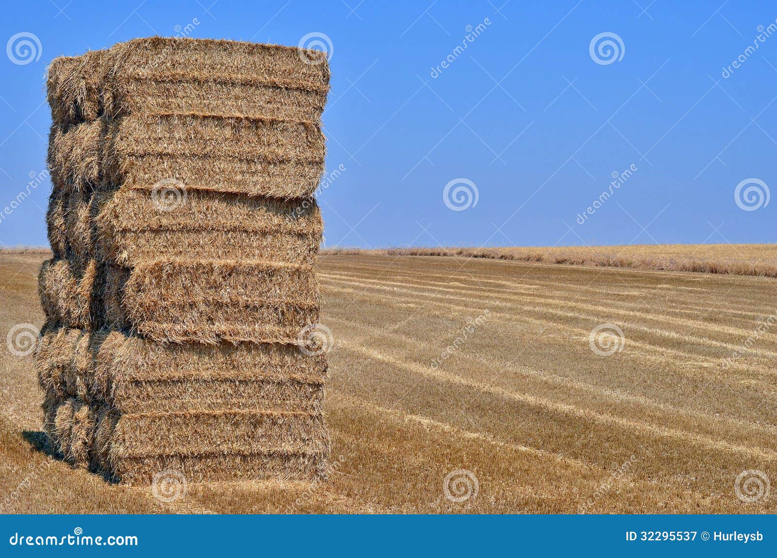 Bundle of Straw Making a Pile Stock Image - Image of bales, rural: 32295537