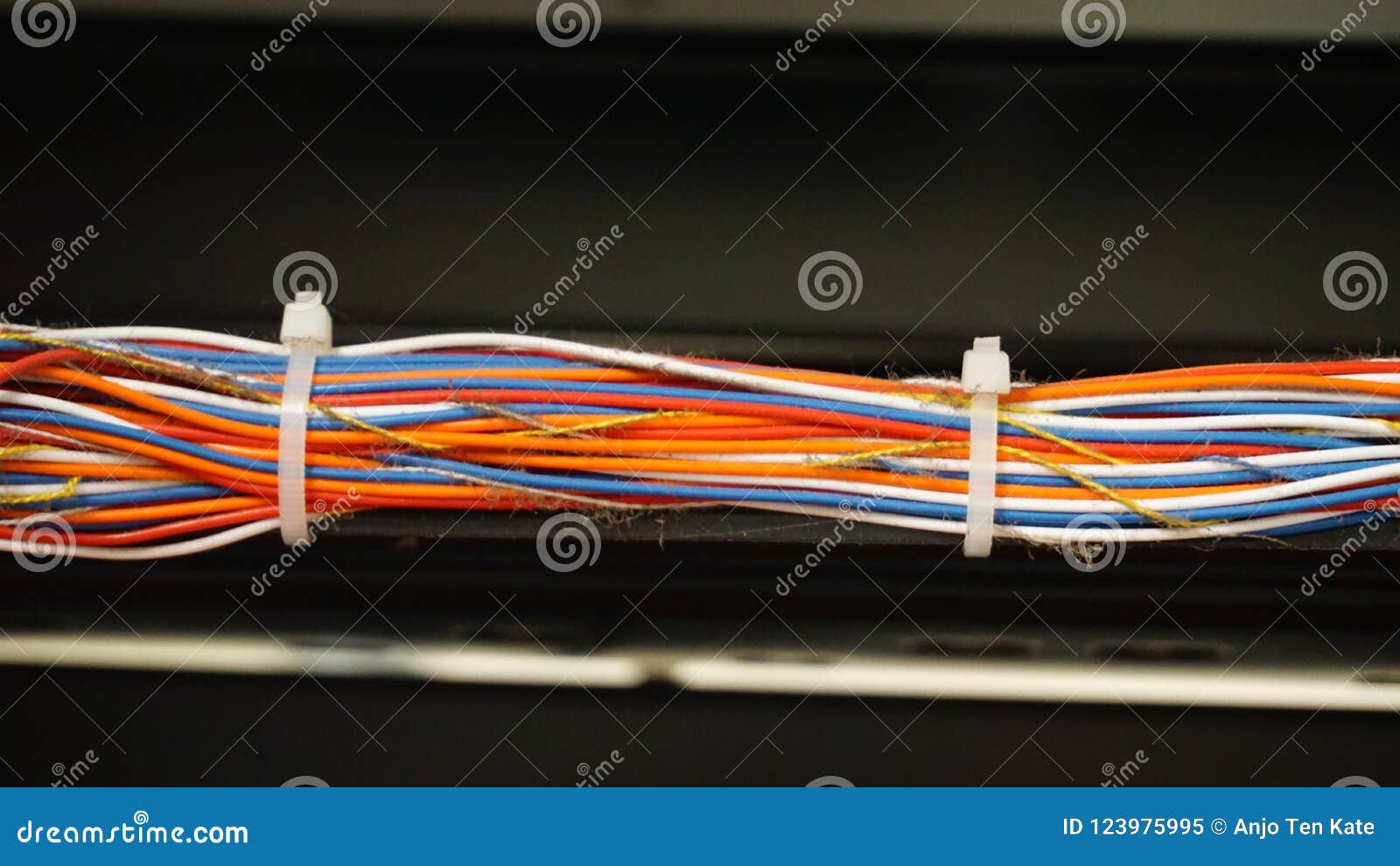 Bundle of telecom cables stock image. Image of secured - 123975995