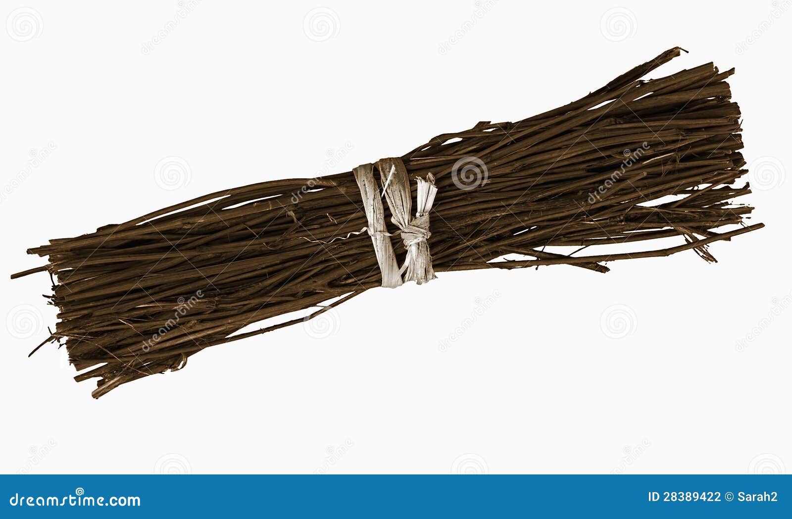 Bundle of Twigs, Isolated Over White Stock Photo - Image of bundle ...