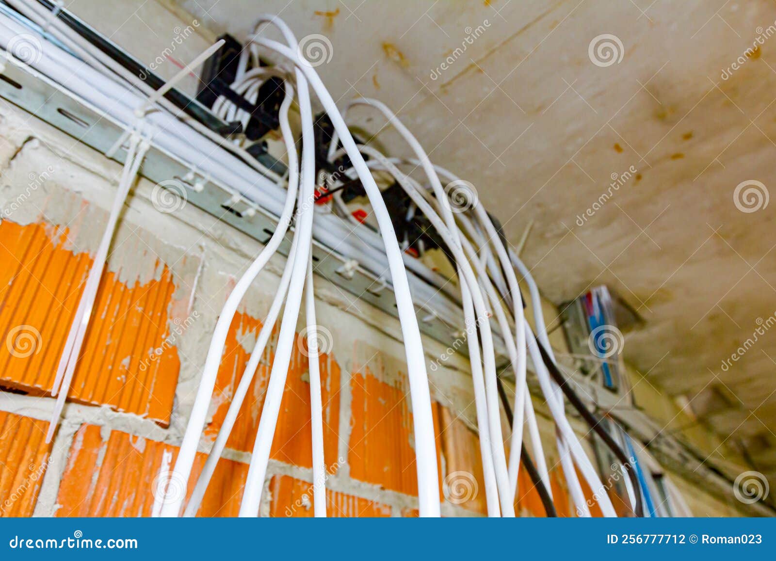 Bundle of Various Cables are Hanging from Above in Indoor of Building ...