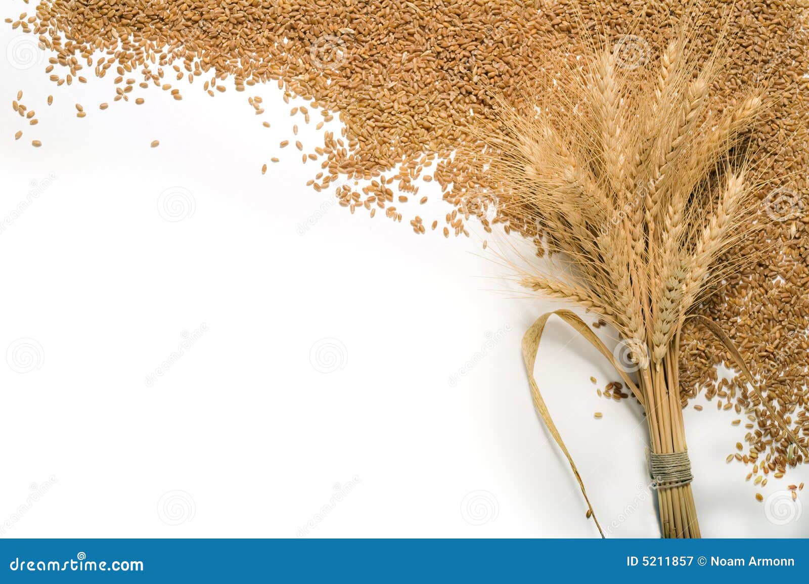 Bundle of Wheat and Grains Frame Stock Image - Image of bread, colour ...