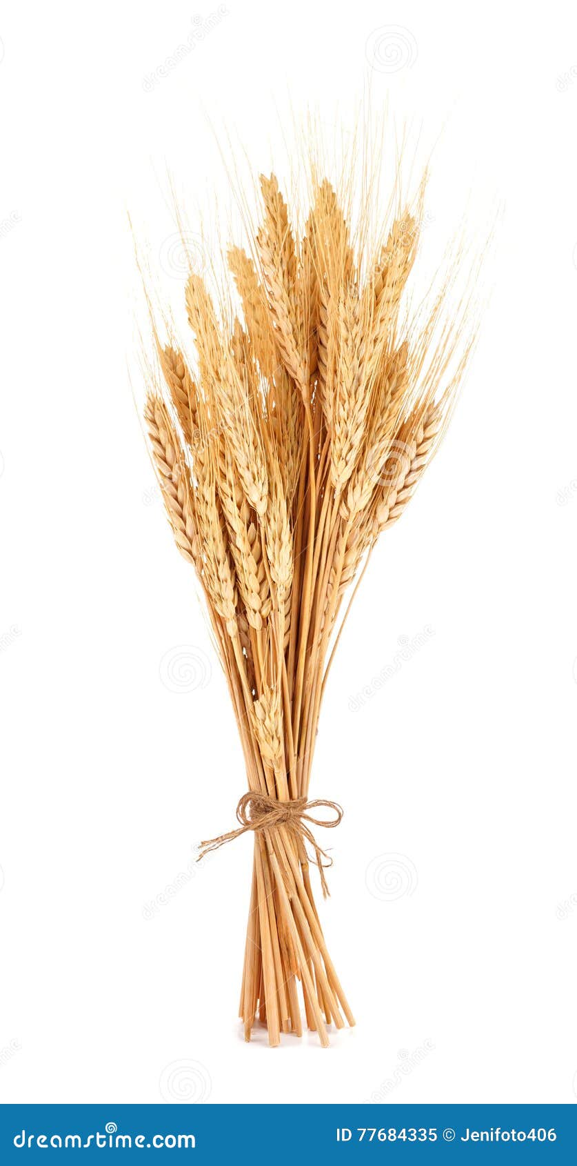 Bundle of Wheat Isolated on a White Background Stock Image - Image of ...
