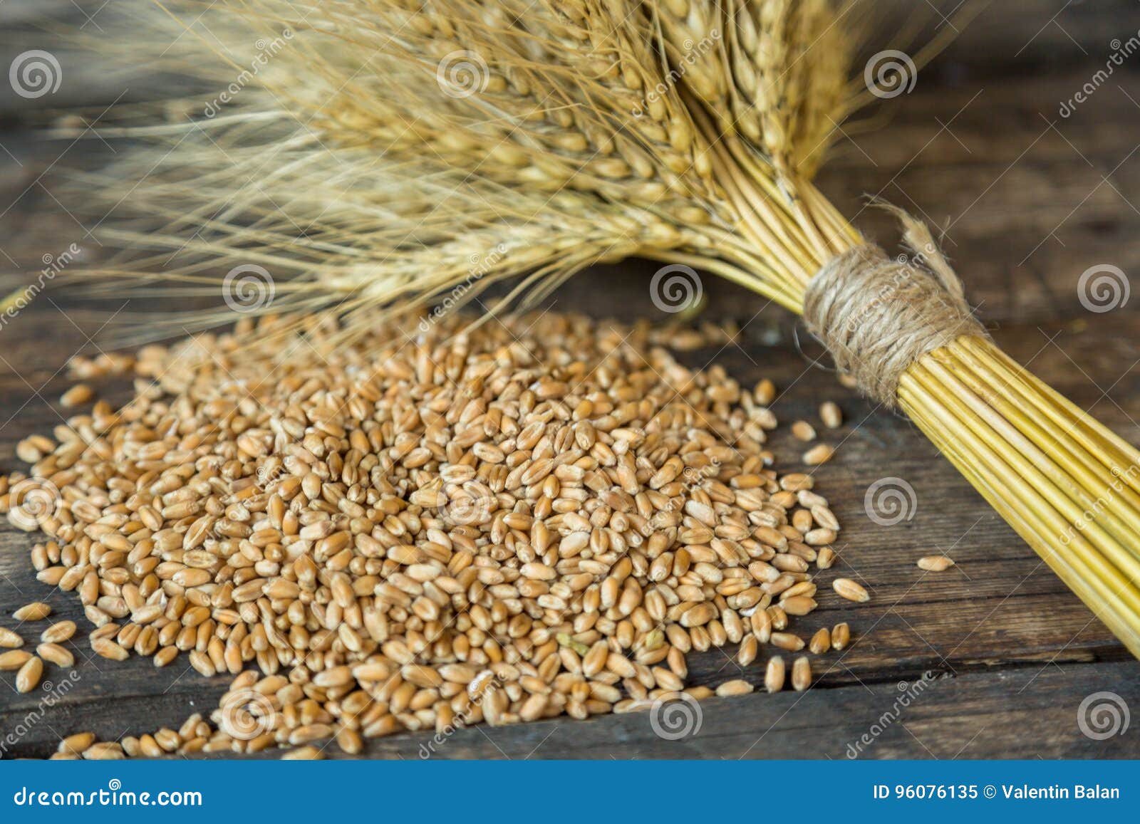 Bundle of Wheat and Wheat Beans Stock Image - Image of bouquet, grain ...