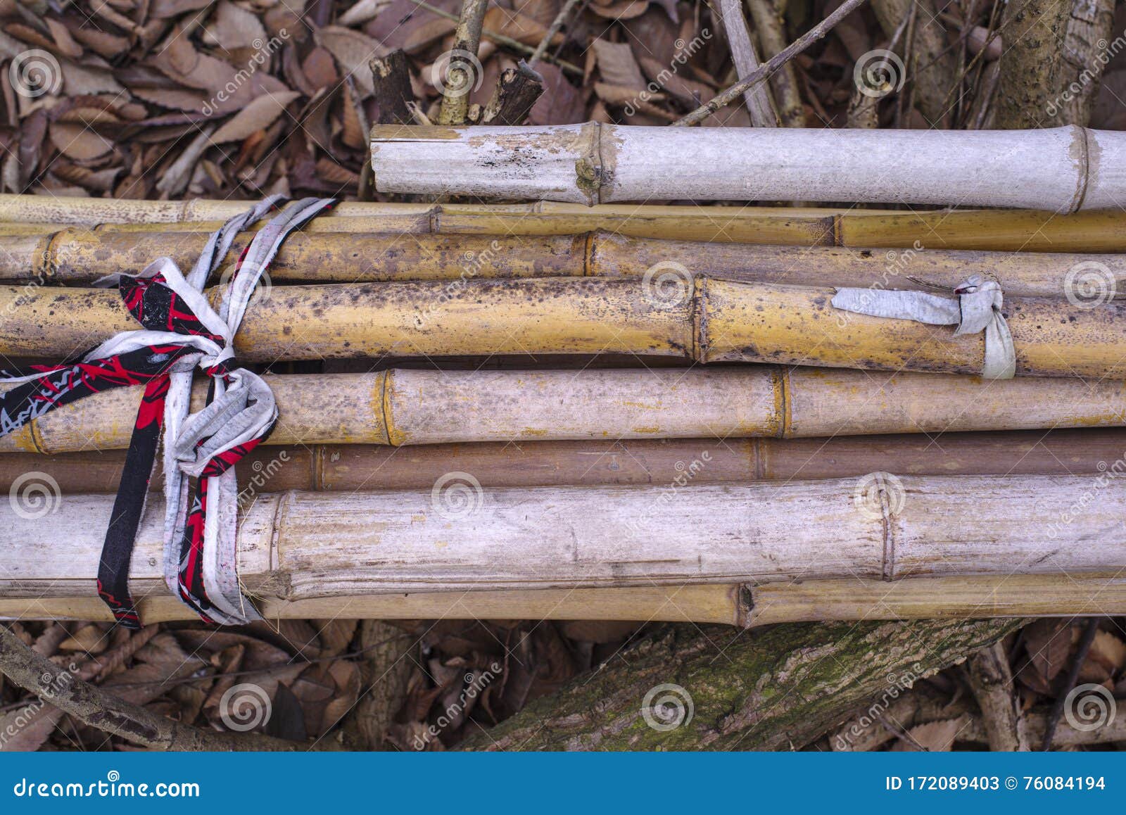 A Bundle of Withered Bamboo Poles. Stock Image - Image of bundle, dead ...