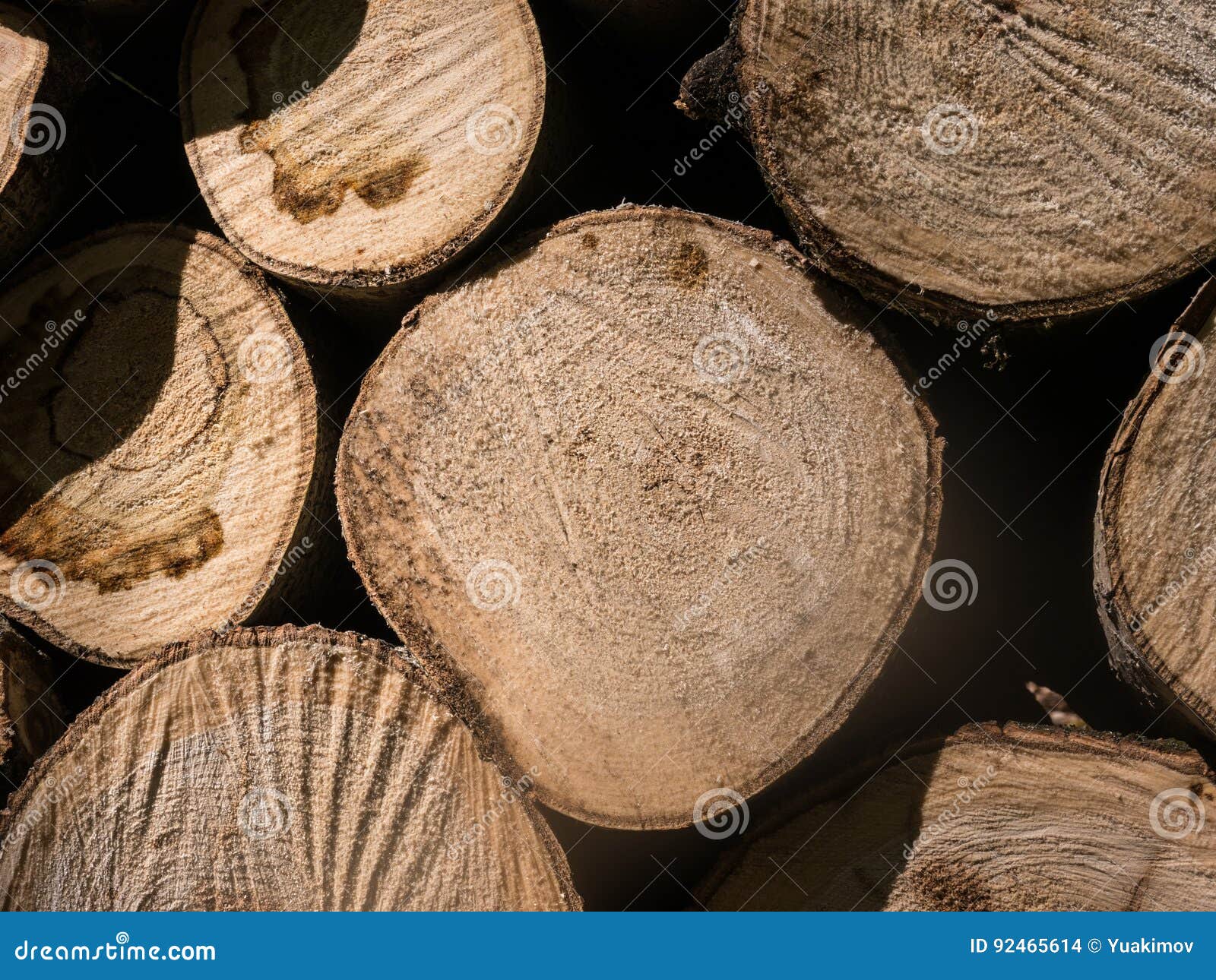 Bundle of wooden logs stock photo. Image of wood, chunk - 92465614