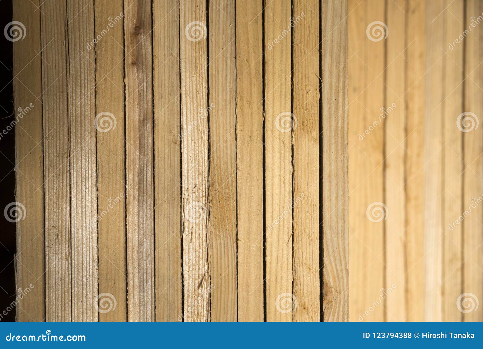 Bundled flooring materials stock photo. Image of conifer - 123794388