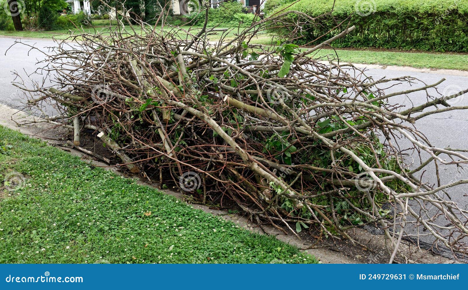 Bundled Stack of Pruned Branches Stock Image - Image of curb, pruning ...