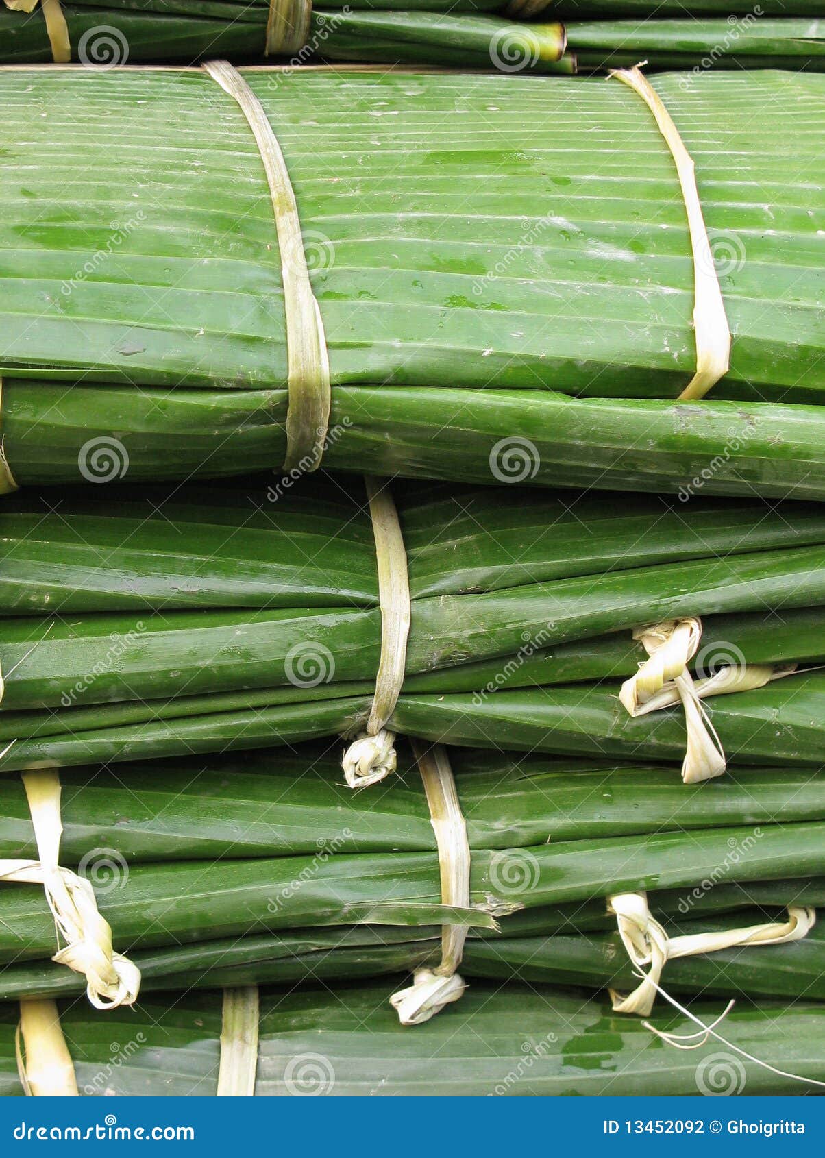 Bundles of banana leaves stock photo. Image of exotic - 13452092