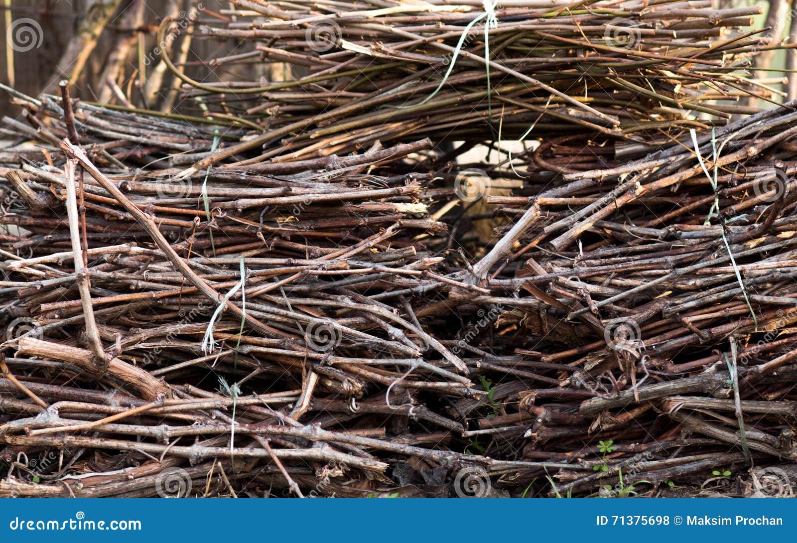 Bundles of Dry Sticks Campfire Stock Photo - Image of twigs, bundles ...