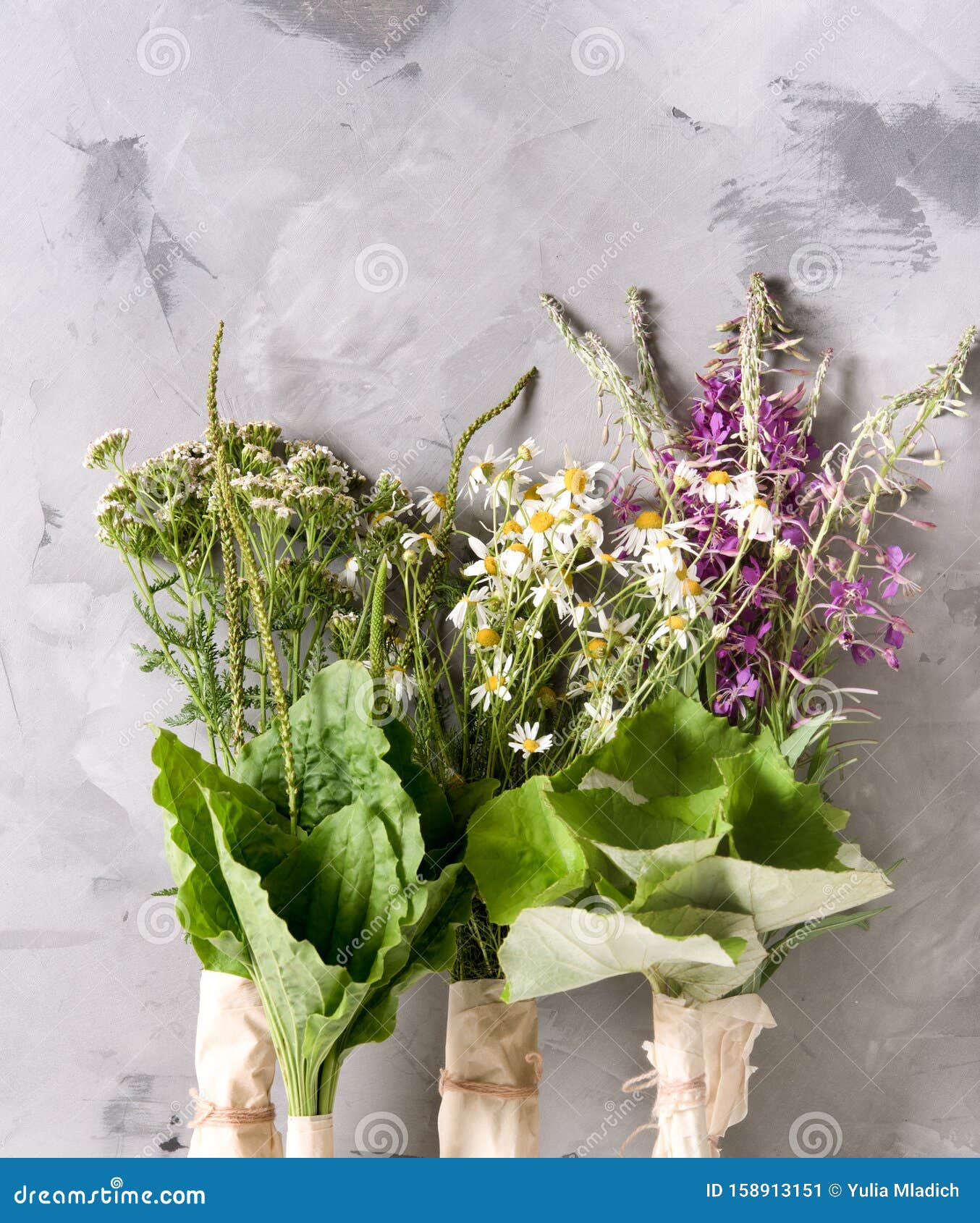 Bundles of Fresh Medicinal Plants on the Table Stock Image - Image of ...