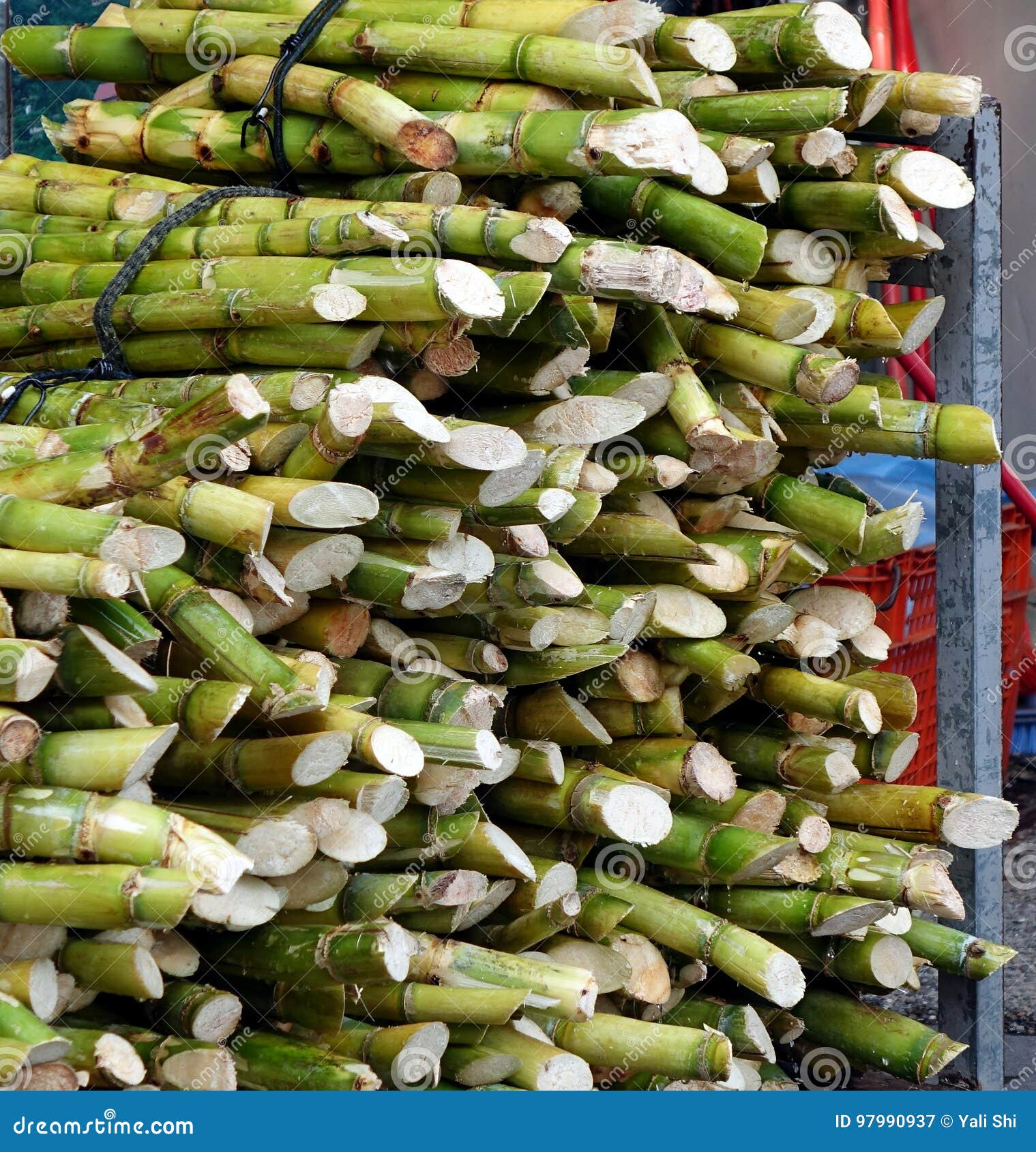 Bundles Of Raw Sugar Cane. Royalty-Free Stock Photo | CartoonDealer.com ...