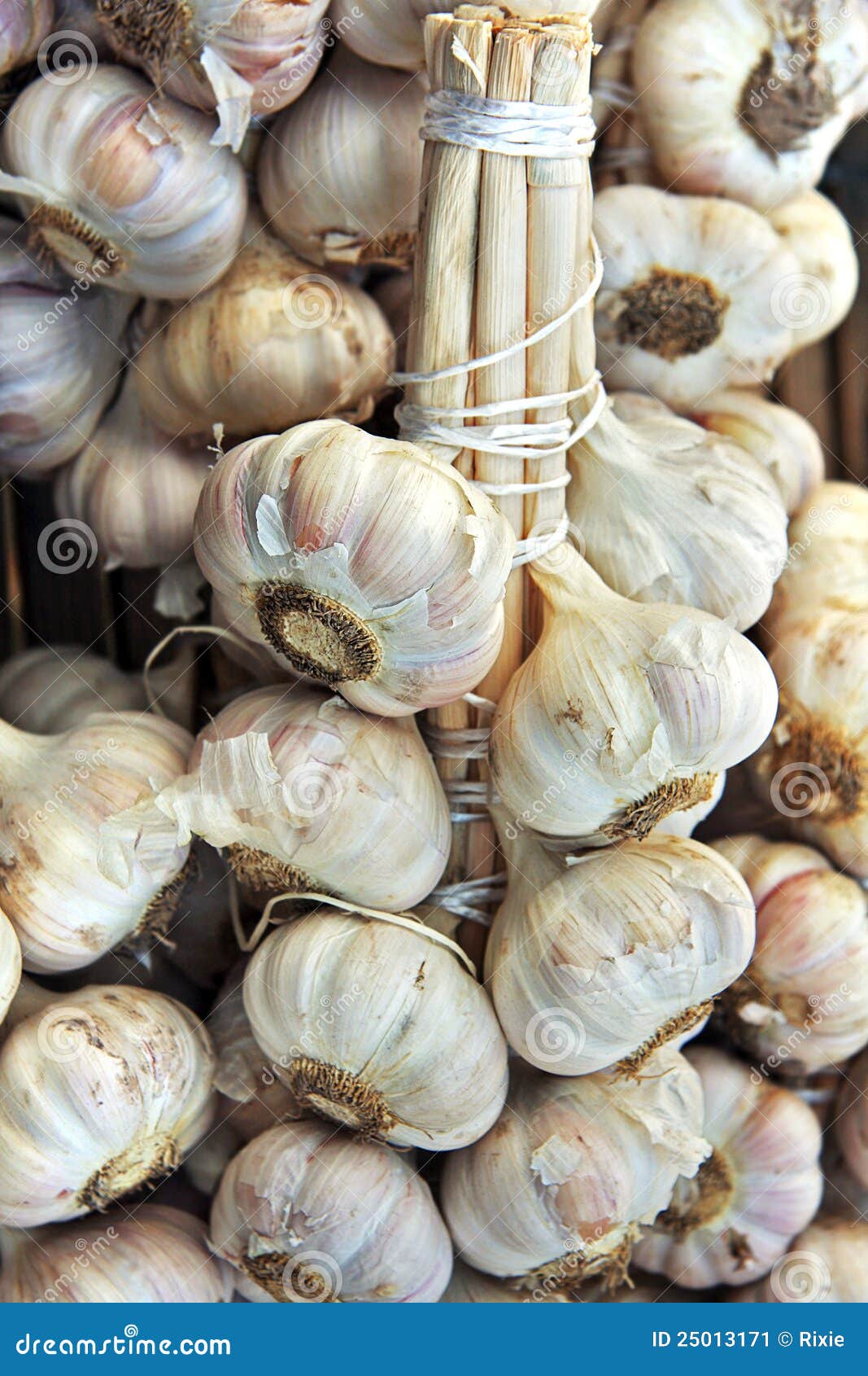 Bundles of garlic stock image. Image of cook, cuisine - 25013171