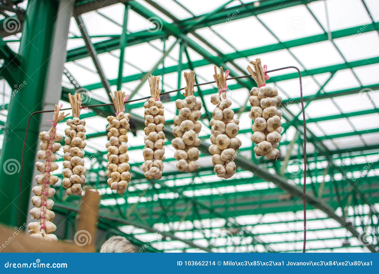 Bundles of garlic stock photo. Image of stand, garlic - 103662214