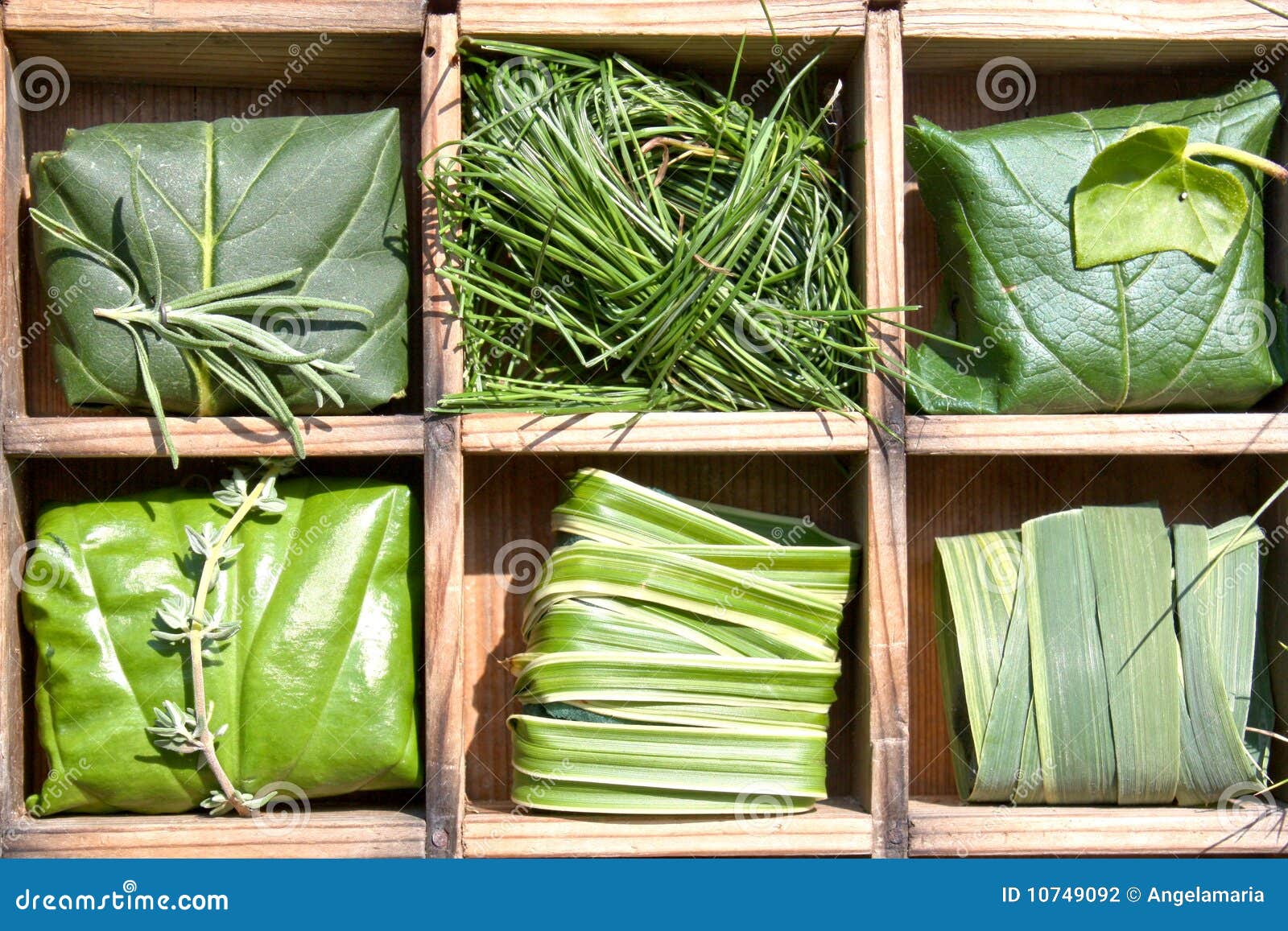 Bundles of Grass and Leaves Stock Photo - Image of wood, bundles: 10749092