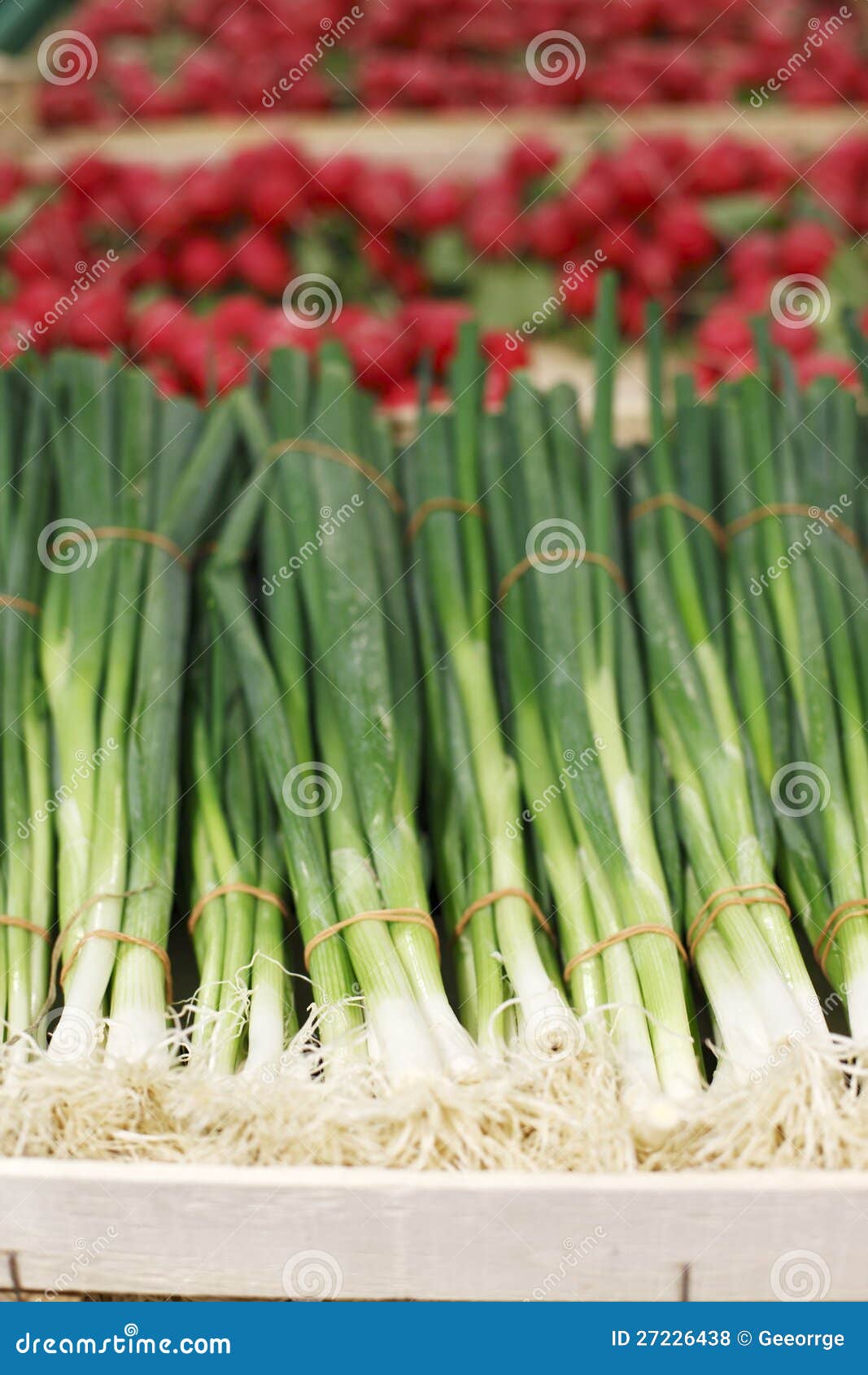 Bundles of Green Onions in a Grocery Stock Photo - Image of choice ...