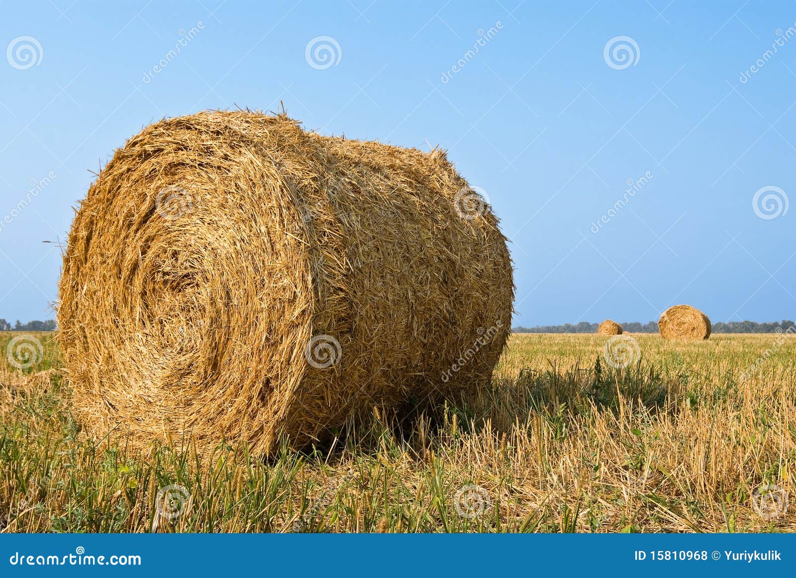 Bundles of hay stock photo. Image of scene, reap, panoramic - 15810968
