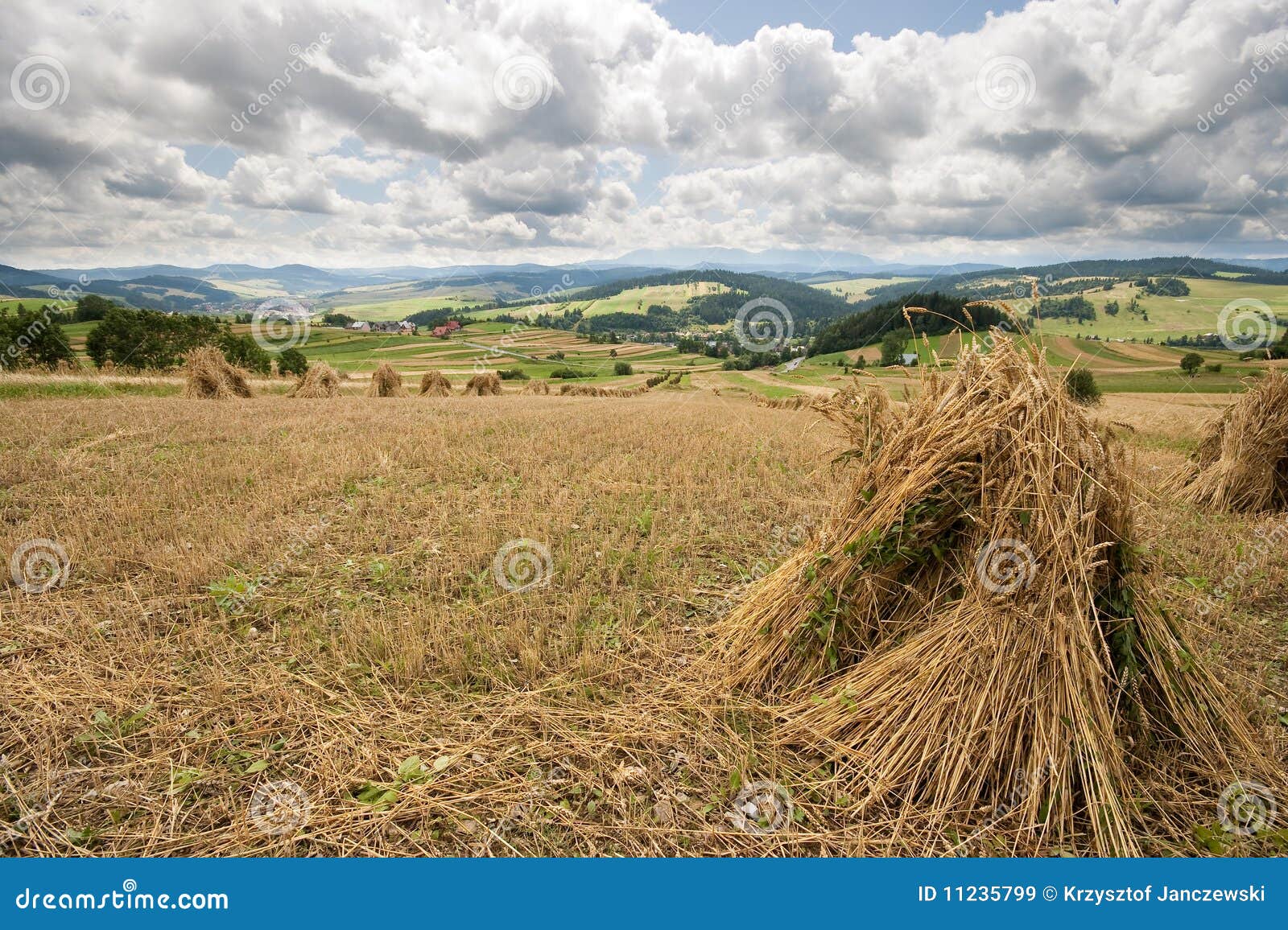 Bundles of Hay with a Panoramic View of Pieniny Stock Image - Image of ...