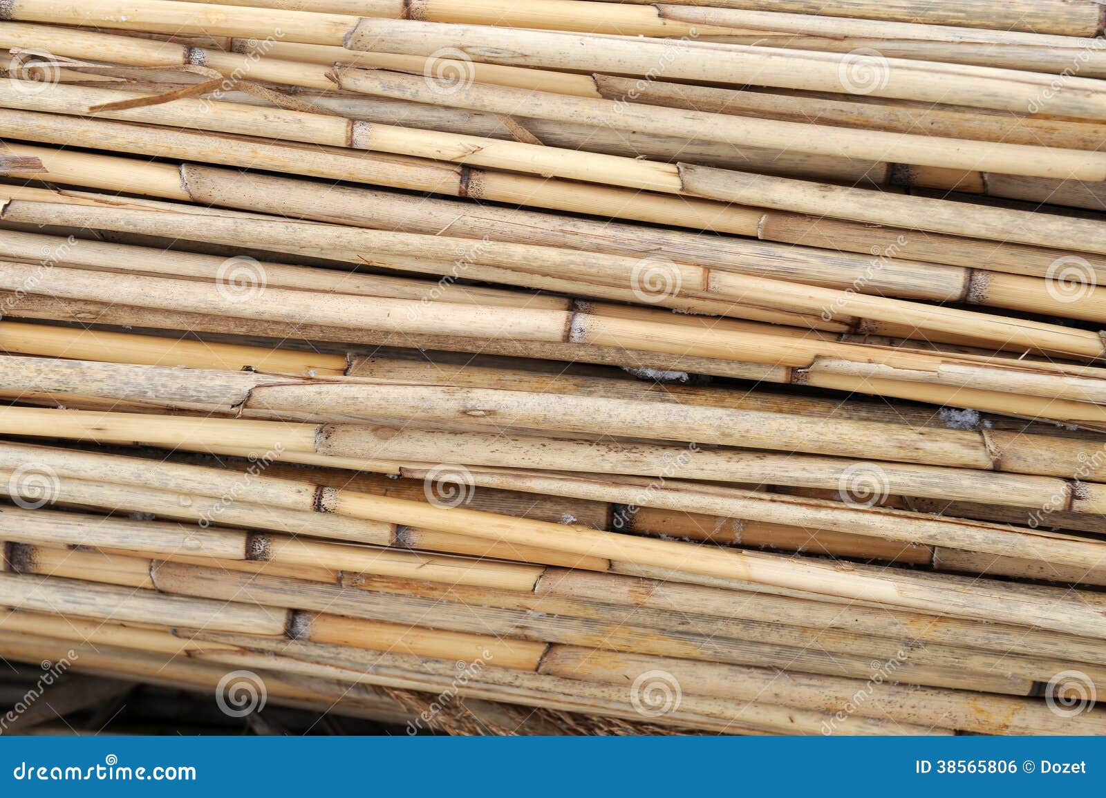 Bundles of reed stock photo. Image of scene, material - 38565806