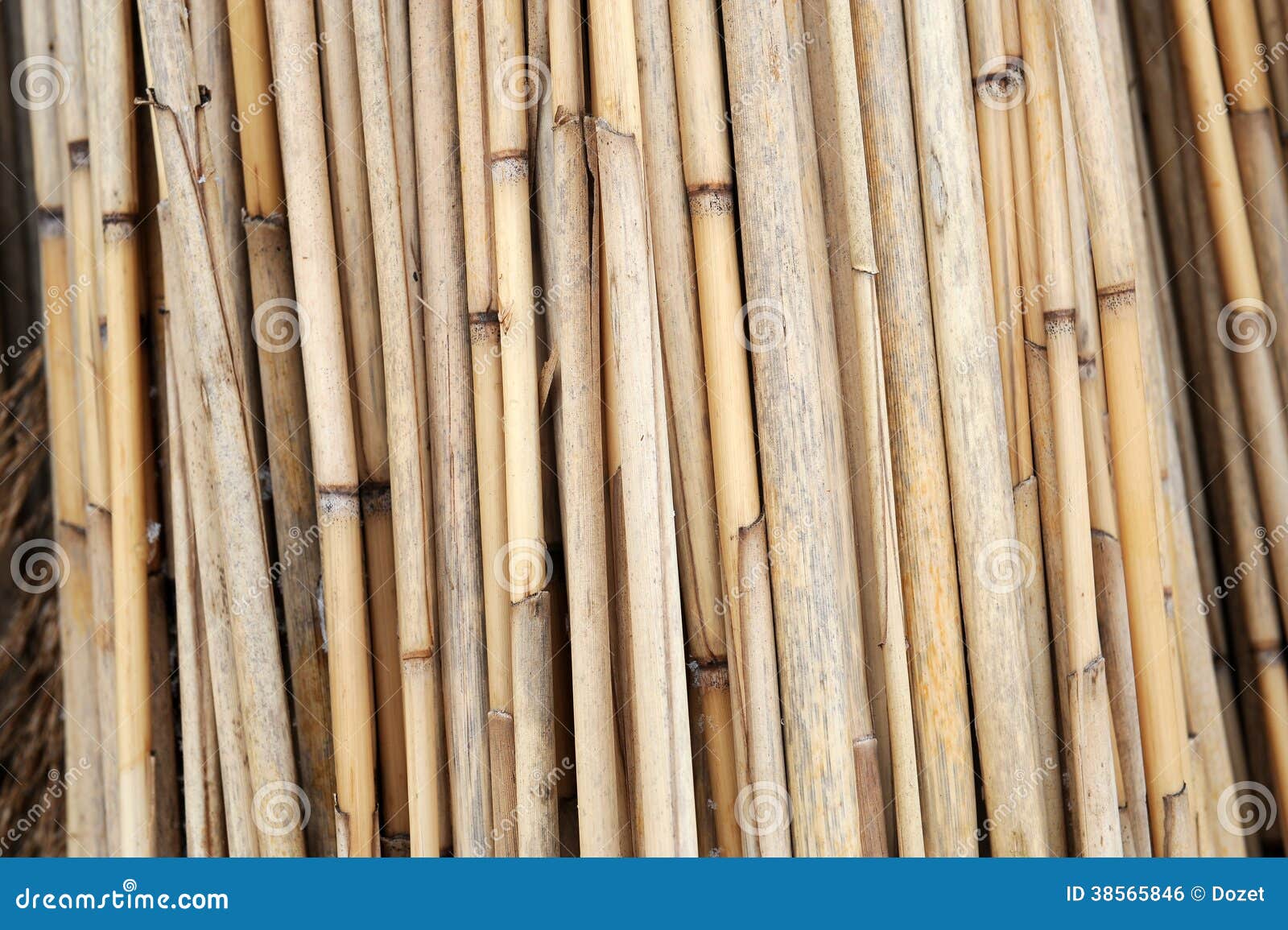 Bundles of reed stock photo. Image of reed, textured - 38565846
