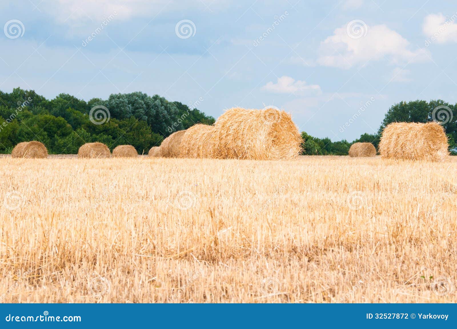 Bundles of Straw on the Field after Harvest Stock Photo - Image of ...