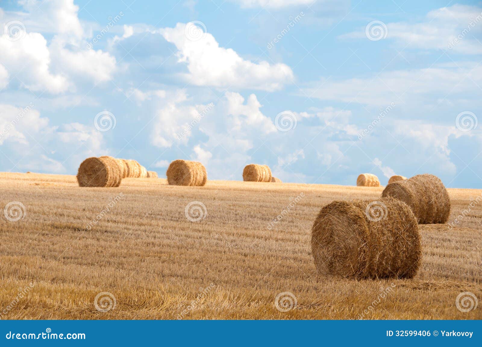 Bundles of Straw on the Field after Harvest Stock Photo - Image of ...