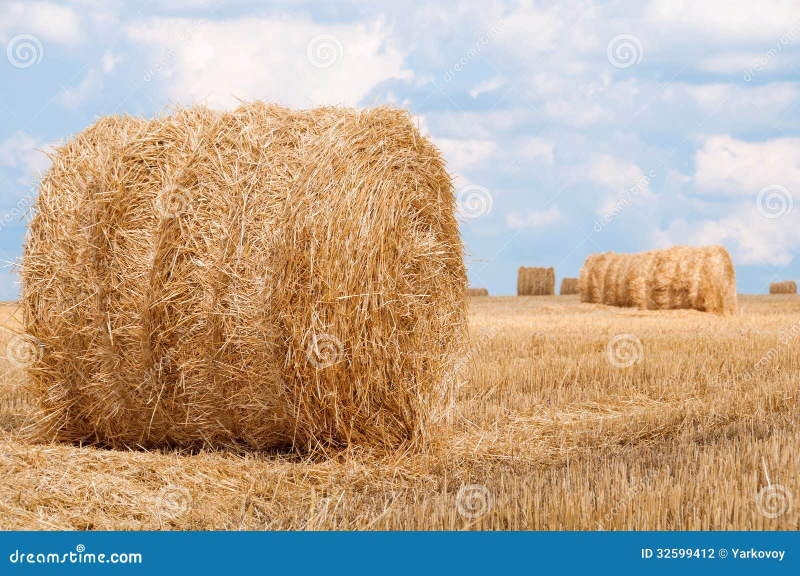 Bundles of Straw on the Field after Harvest Stock Photo - Image of ...
