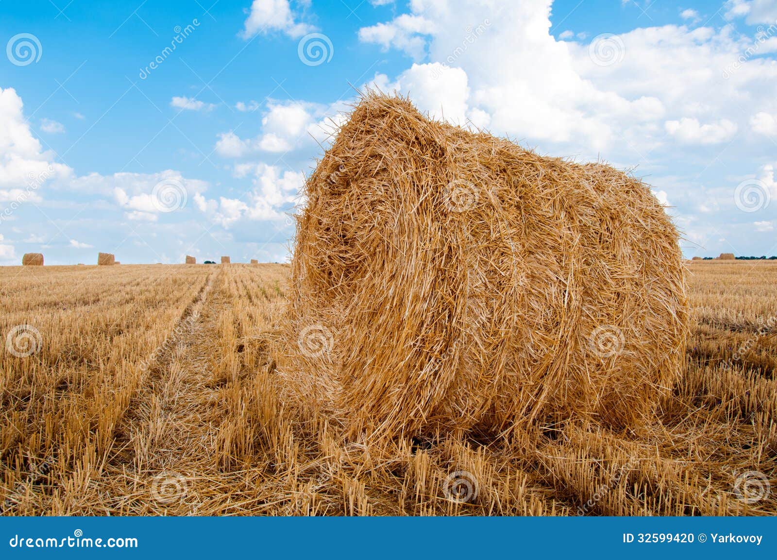 Bundles of Straw on the Field after Harvest Stock Photo - Image of ...