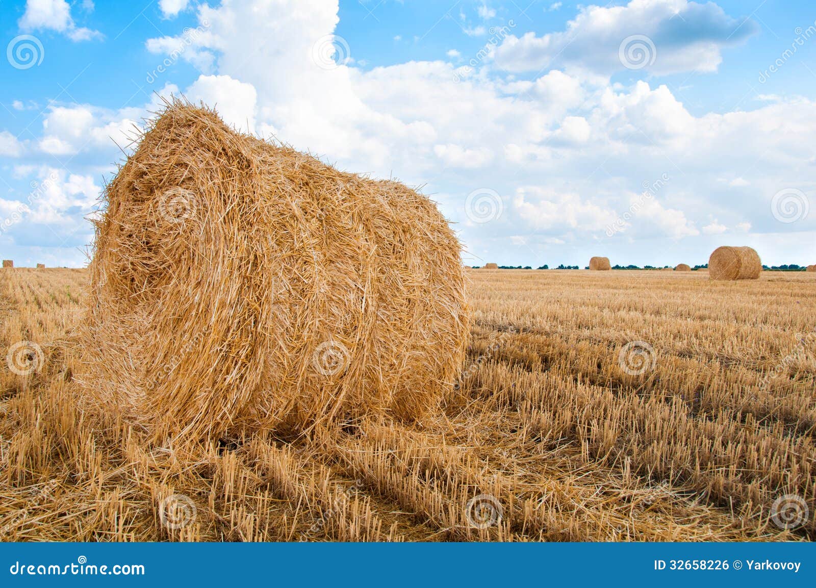 Bundles of Straw on the Field after Harvest Stock Photo - Image of ...