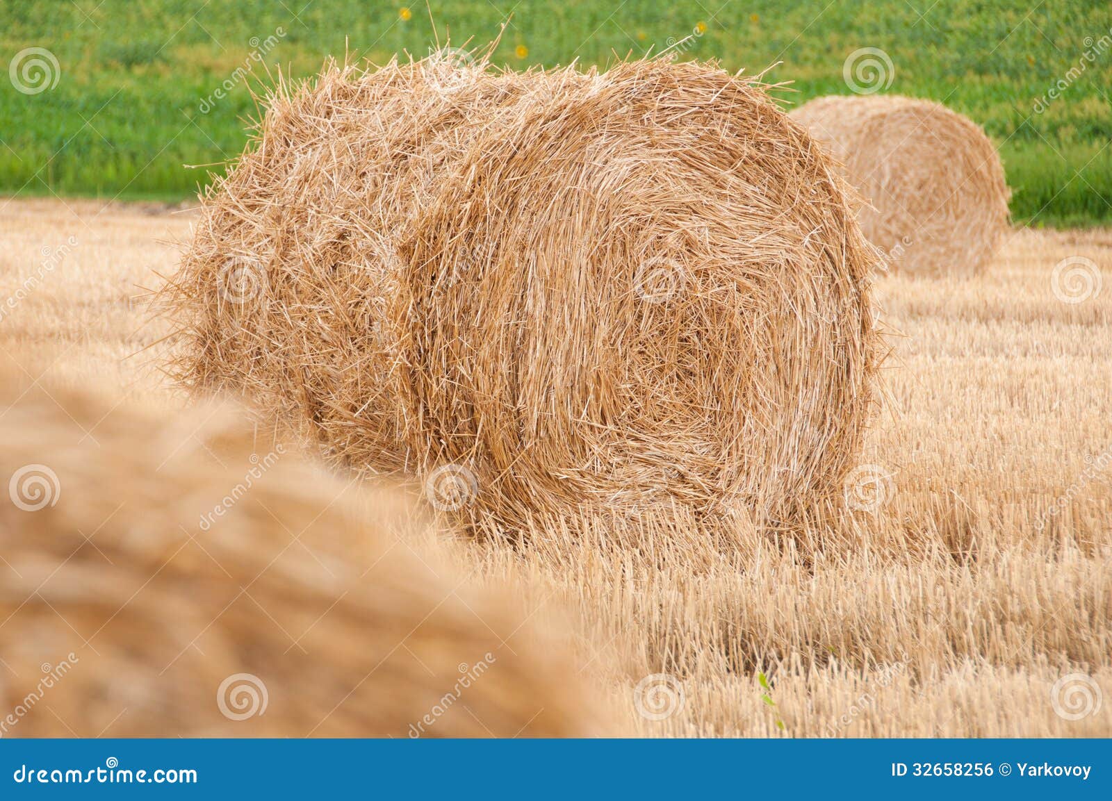 Bundles of Straw on the Field after Harvest Stock Photo - Image of ...