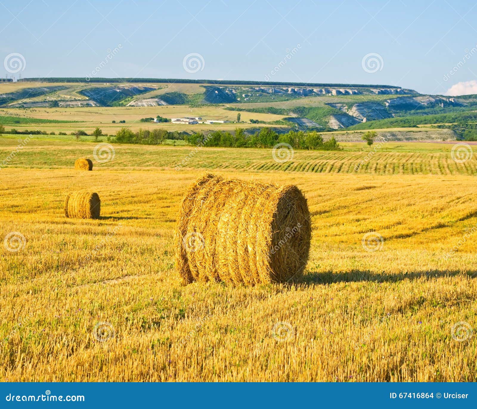 Bundles of straw stock photo. Image of ripe, food, bundle - 67416864