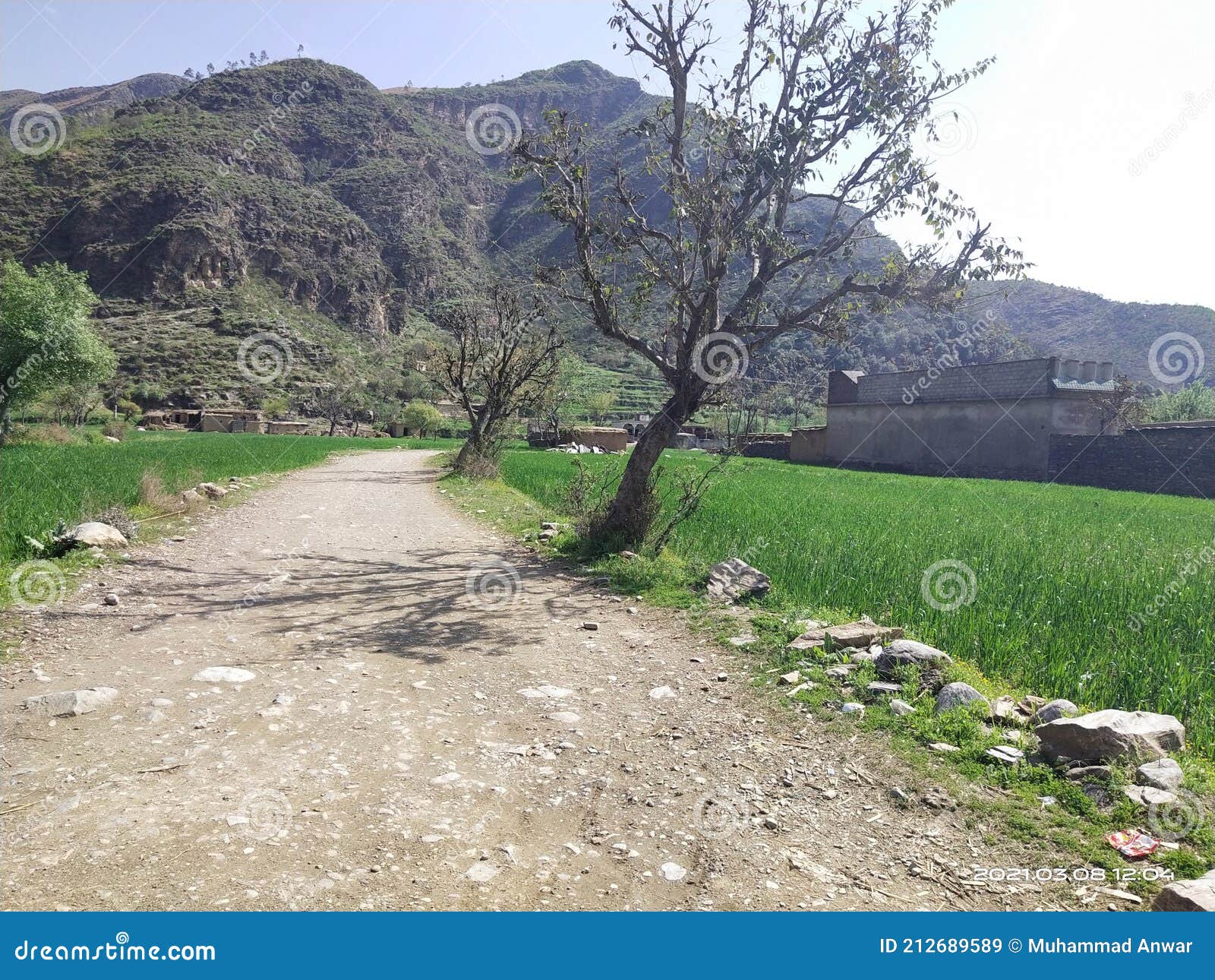 Buner KPK Pakistan stock image. Image of grass, ridge - 212689589