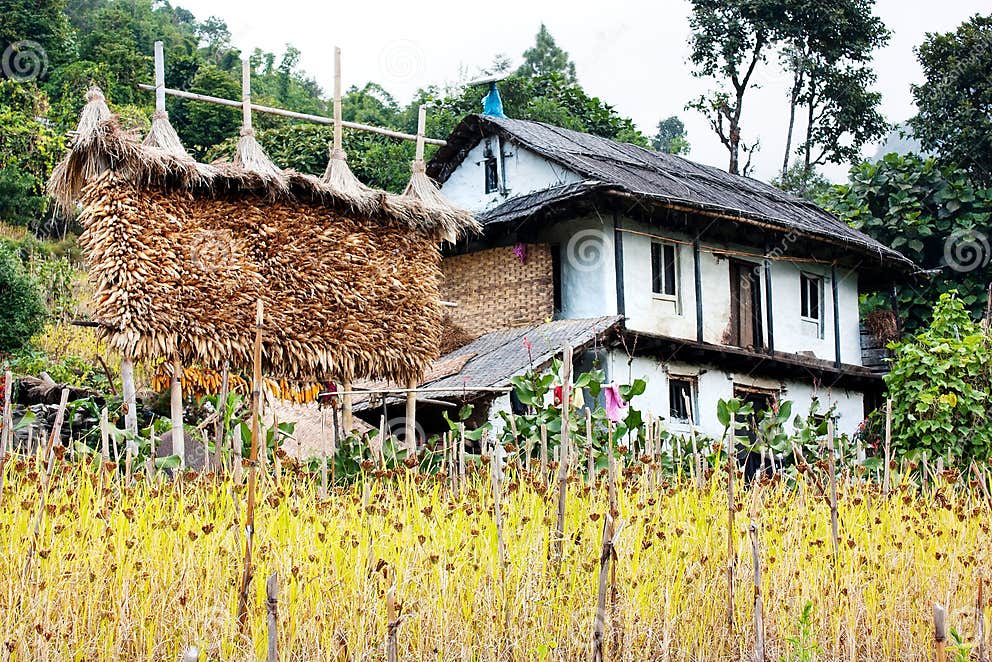 Bung - the Nepal Counryside Stock Photo - Image of indian, land: 22264312