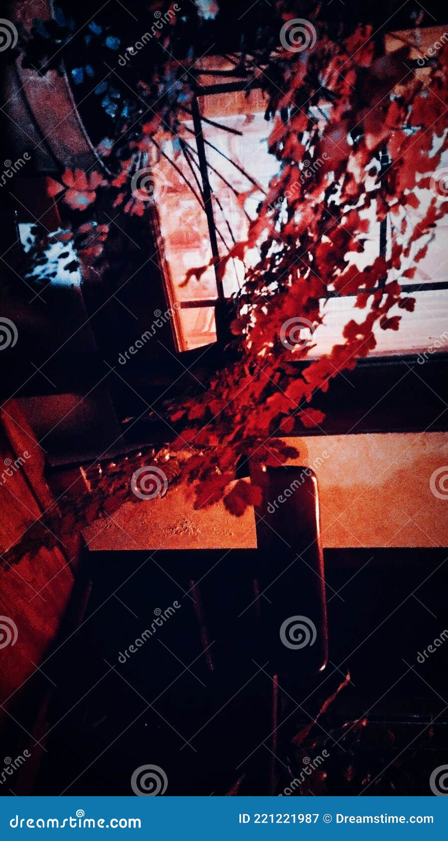 Bunga senja aestetic stock image. Image of bunga, tree - 221221987